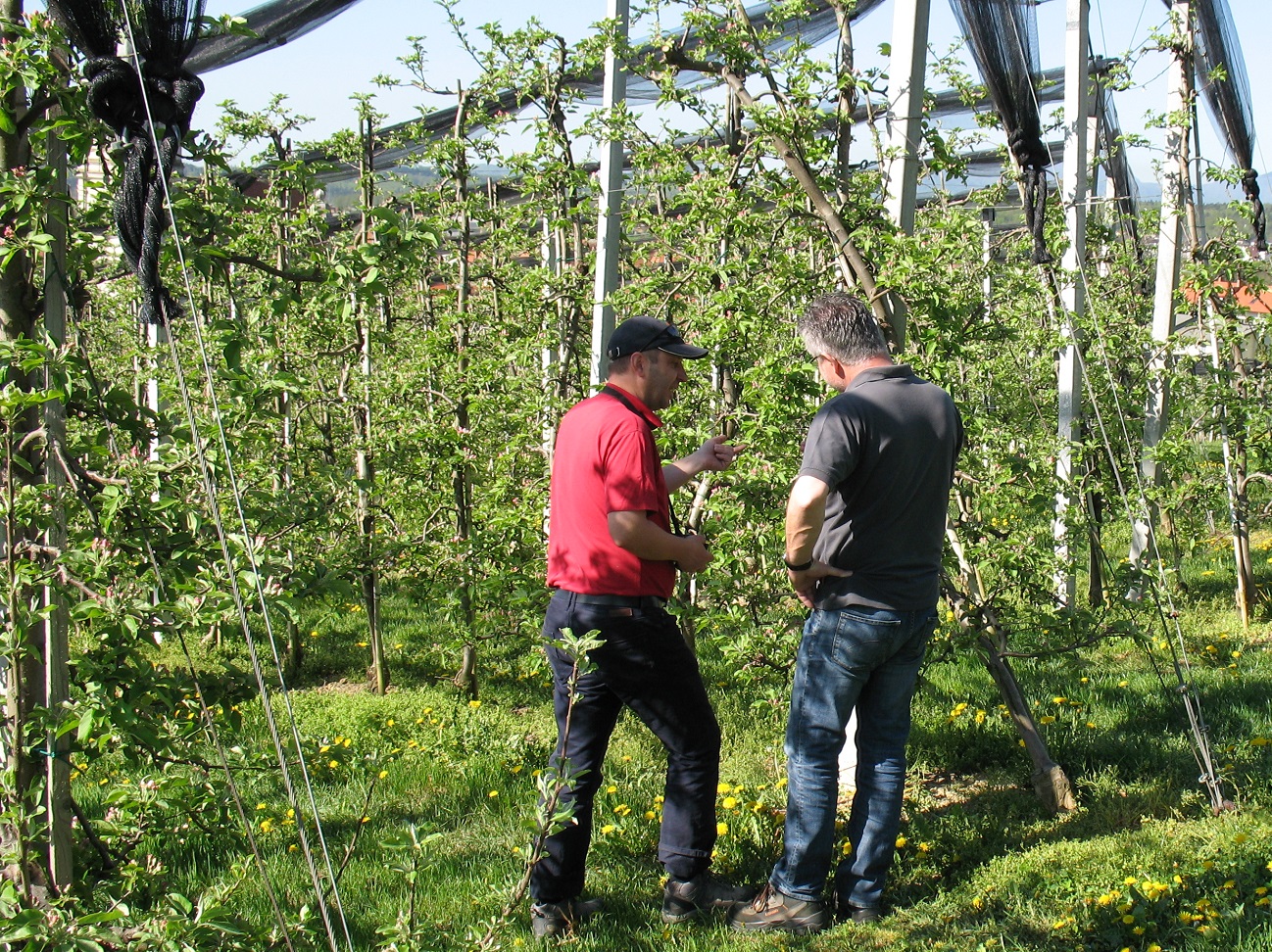 Agroconsulting | Agroselection