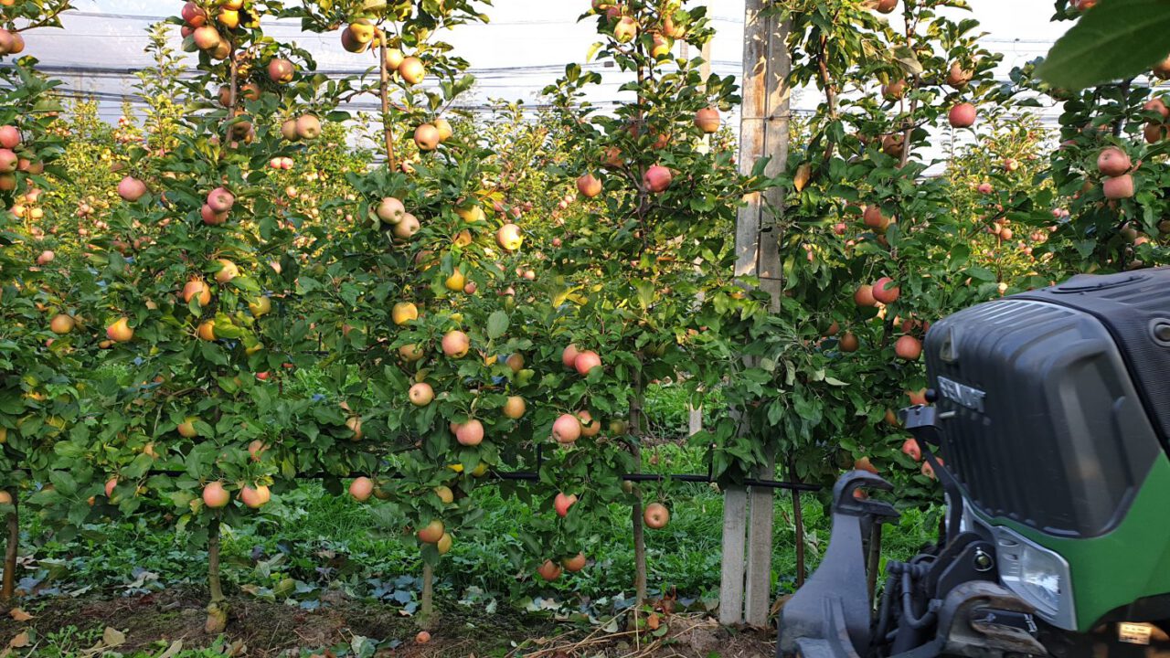 REDpulse pneumatische entblaetterung en | Agroselection